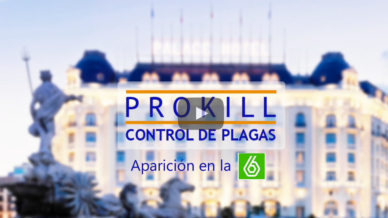 PROKILL » control de plagas